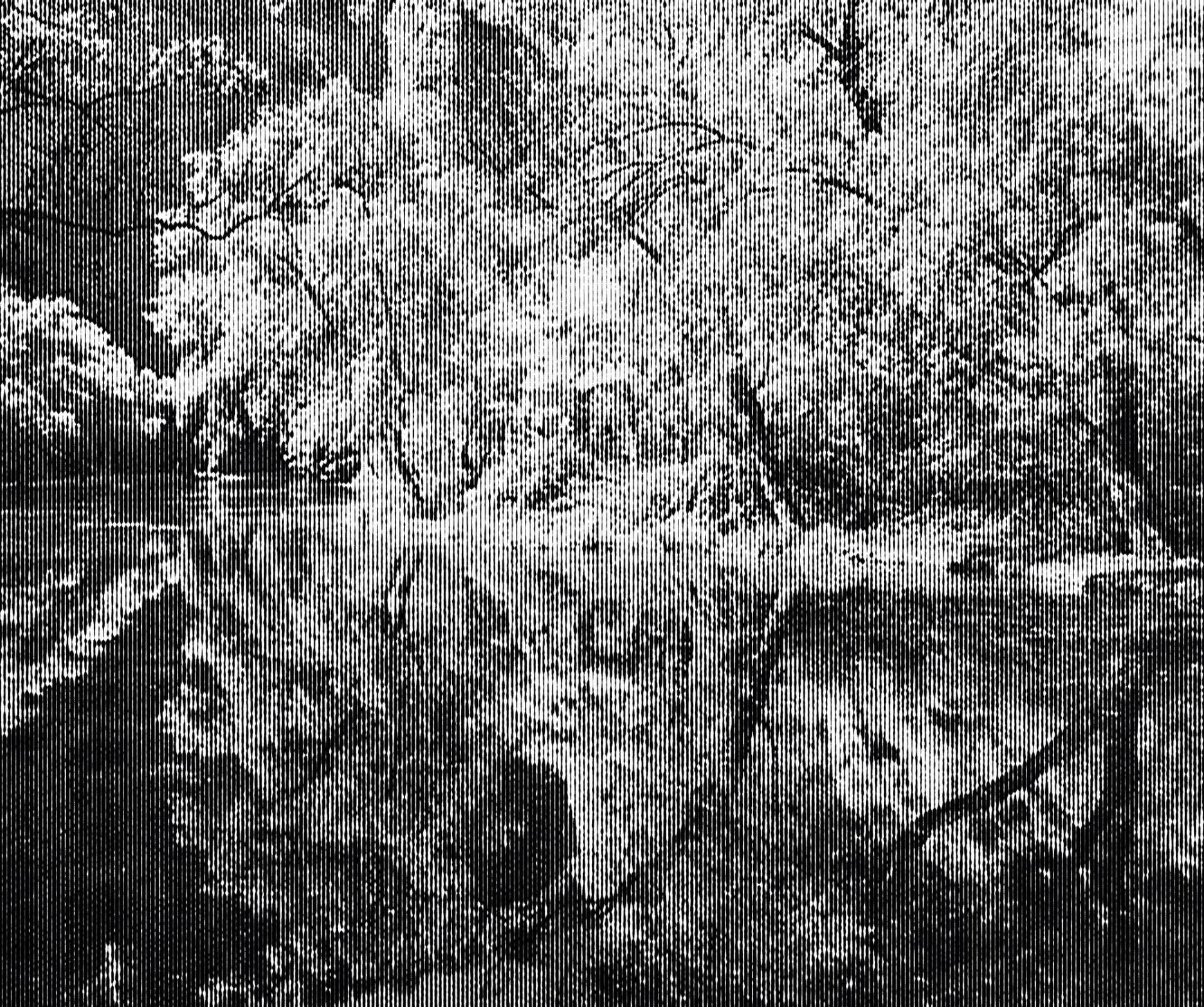 Exposition Thomas Andrea Barbey | Ville de Liévin